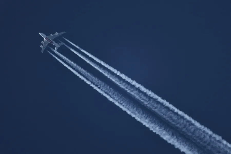 RFF Answers the Weirdest Questions you might ask yourself mid-flight