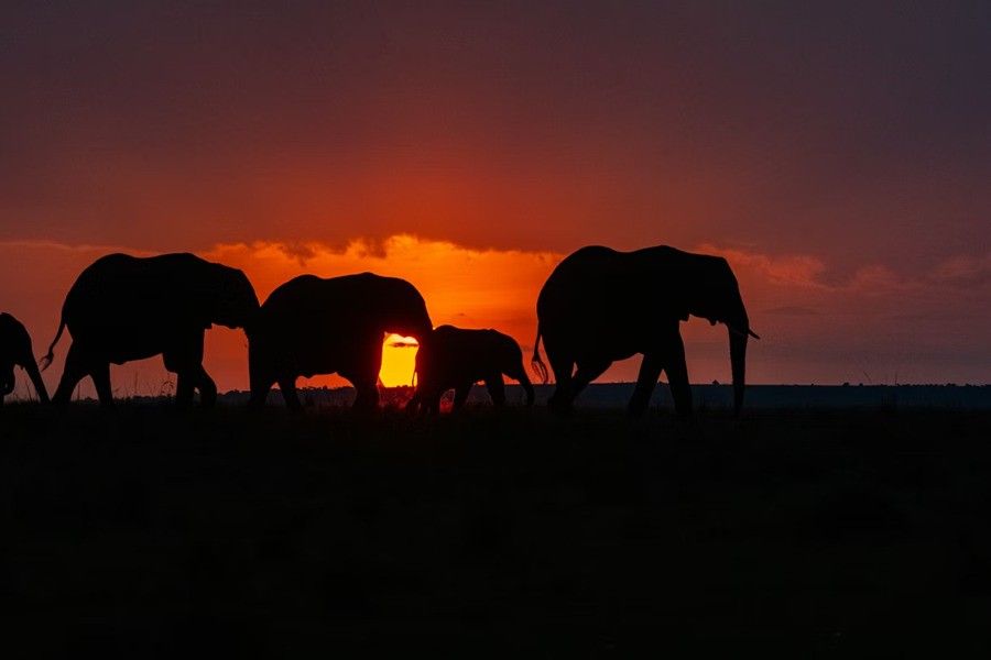 5 Awe-inspiring nighttime experiences you can enjoy with Avios